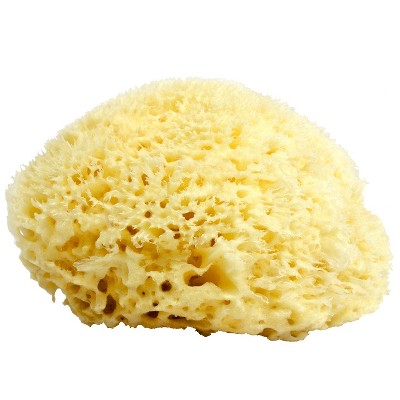 Earth Therapeutics Super Loofah Exfoliating Mesh Sponge - 1 Ct : Target
