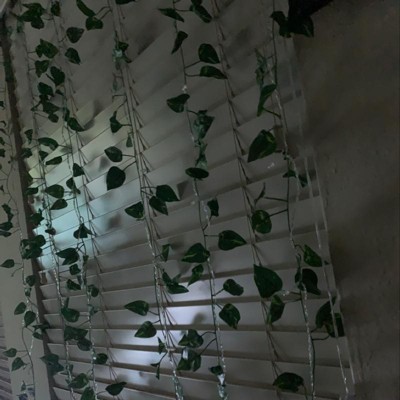 5' X 3.5' Led Vine Curtain String Lights Warm White - West & Arrow : Target