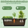 YOUNGFIT 5-Tier Vertical Raised Garden Bed - 3.74FT Elevated Planter ...