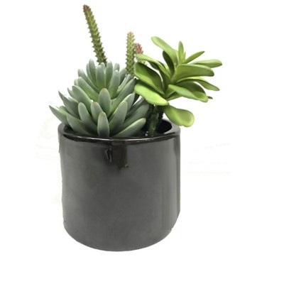 Vickerman Artificial Potted Succulents : Target