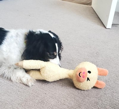 Bark Big Al Paca Dog Toy : Target