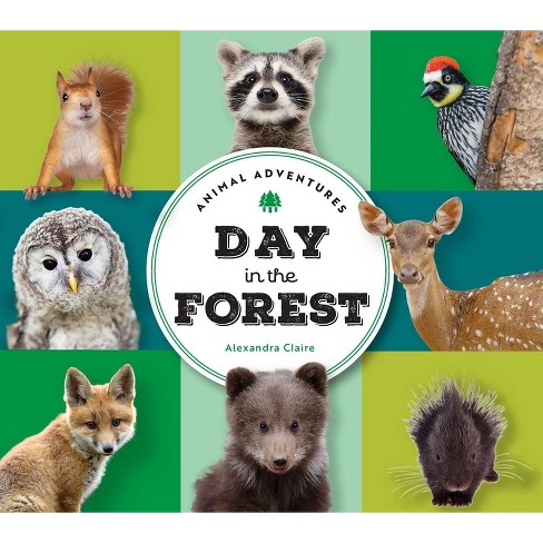 Animal Adventures: Day In The Forest - By Alexandra Claire (board Book ...