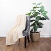 Chunky Knit Throw Blanket Braided, Soft & Cozy - Becky Cameron, Ivory ...