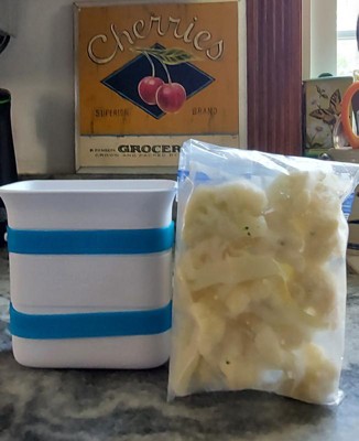 Freezeup 2pk Food Block Maker, 2 Cup : Target