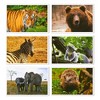 Best Paper Greetings Wild Animal Postcards – 40 Postcards – Bulk Set ...