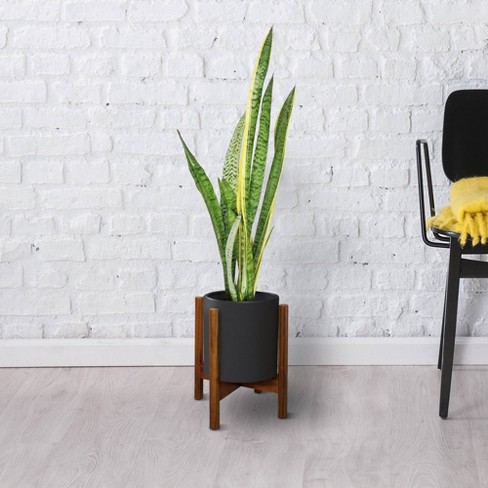 Wooden Plant Stand (fit Up To 10") Antique Mahogany - Flora Home: Pine ...