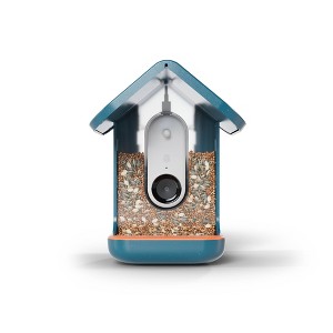 Bird Buddy Smart Bird Feeder With Camera And Solar Roof : Target