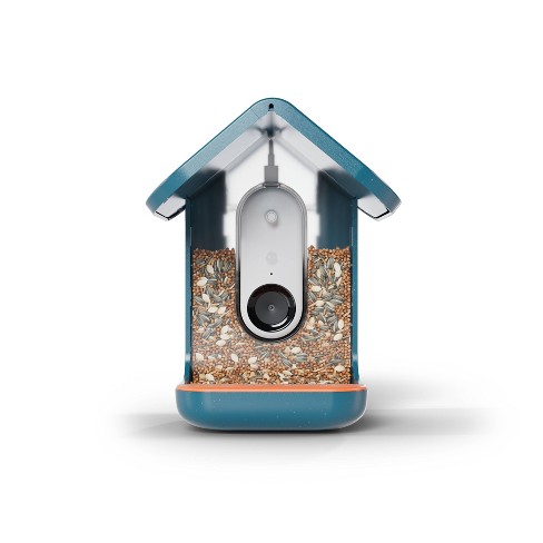 Bird Buddy Smart Bird Feeder With Camera And Solar Roof : Target