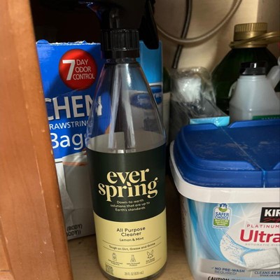 Lemon & Mint All Purpose Cleaner - 28 Fl Oz - Everspring™ : Target