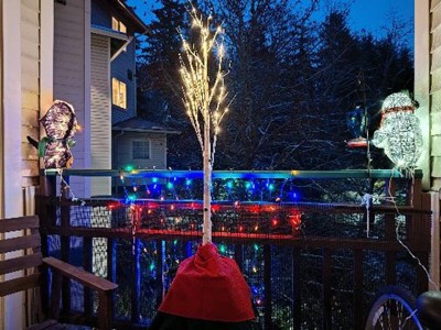 100 Led Net Lights - Multicolor : Target