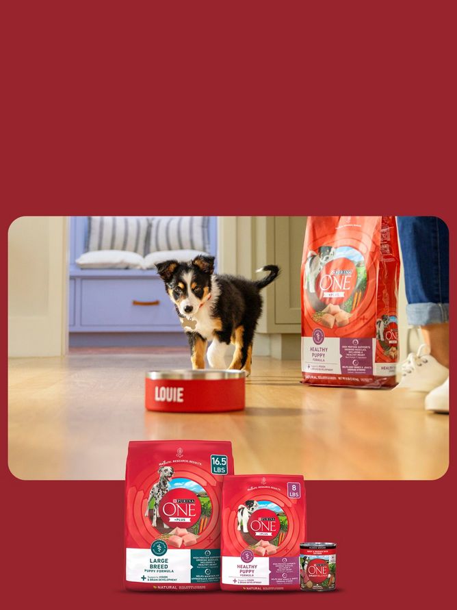 Purina ONE : Target