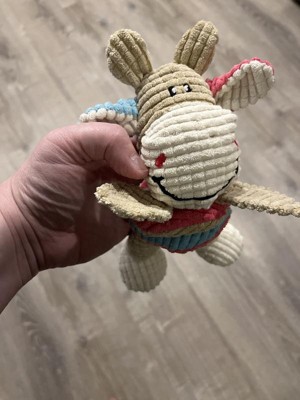 Rocket & Rex Chew Dog Ball Plush Toy Set - 6pk : Target