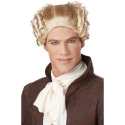 California Costumes 18th Century Peruke Costume Wig (grey), Standard ...