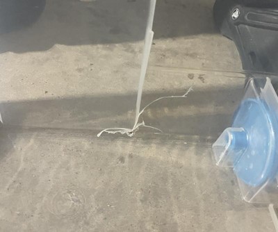 Sterilite 37 Qt Gasket Box, Stackable Storage Bin With Latching Lid And ...