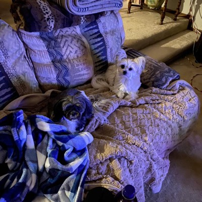 Blue Buffalo Nudges With Chicken Jerky Cuts Natural Dog Treats - 36oz ...