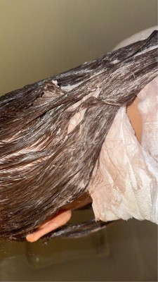 Garnier Nutrisse Nourishing Permanent Hair Color Creme - 61 Light Ash ...