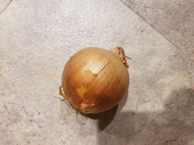 Yellow Onions - 3lb Bag - Good & Gather™ : Target