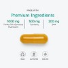 CCDG Blend Systemic & Cellular Immune Support Supplement with ...