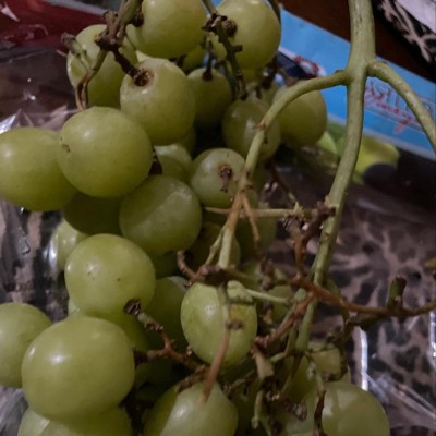 Extra Large Green Seedless Grapes - 1.5lb Bag : Target