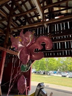 9.5" Medium Helium Balloon Kit : Target