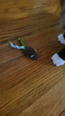 Smartykat Junglekat Midnight Mice Cat Plush Toy - 3pk : Target