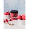 Talenti Dairy-free Frozen Roman Raspberry Sorbetto - 16oz : Target