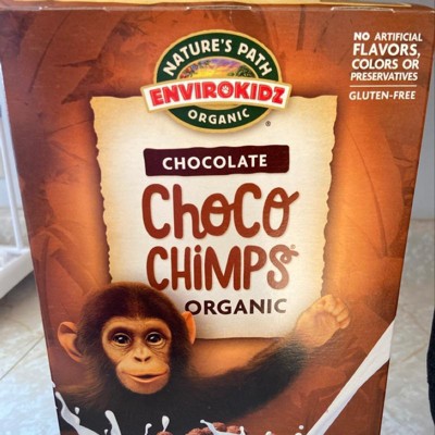 Nature's Path Envirokidz Choco Chimps Breakfast Cereal - 10oz : Target