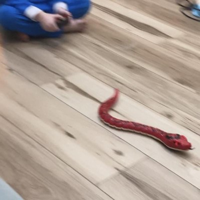 Terra By Battat – Remote Control Infrared Light-up Snake - Rainbow Boa ...