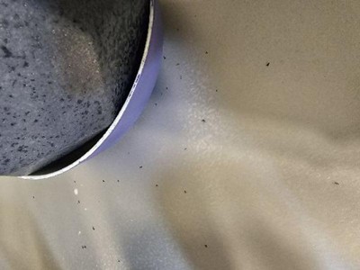 Stem 12oz Plant Spray : Target