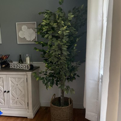 72" Artificial Ficus Tree In Basket - Lcg Florals : Target