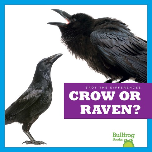 Difference Between Crow And Raven