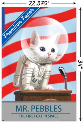 Trends International Fallout 4 - Mr. Pebbles - The First Cat In Space ...