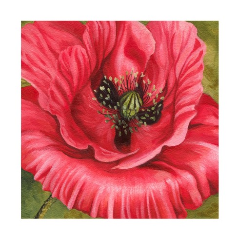 Trademark Fine Art - Grace Popp Vivid Poppy I Canvas Art - 24 X 24 : Target