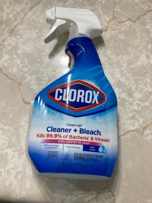 Clorox Original Clean-up All Purpose Cleaner With Bleach Spray Bottle ...