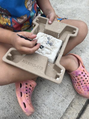 National Geographic Gemstone Dig Kit : Target