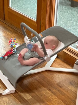 Baby Delight Alpine Deluxe Portable Bouncer : Target