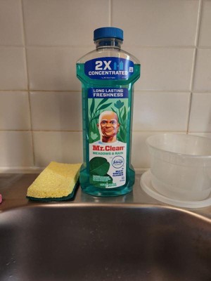 Mr. Clean Meadows & Rain Dilute Multi-surface Cleaner - 41 Fl Oz : Target