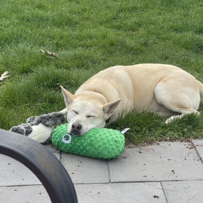 Bark Big Dill Bill Pickle Dog Toy - Green : Target