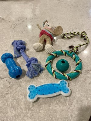 Rocket & Rex Chew Dog Ball Plush Toy Set - 6pk : Target
