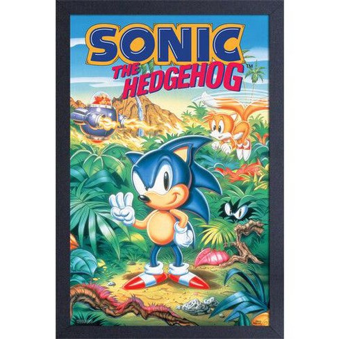 Pyramid America Sonic -sonic 3 Wall Framed : Target