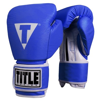 Title Boxing Originals Pro Style Hook and Loop Training Gloves : Target
