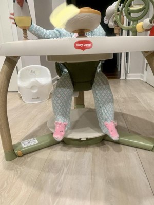 Tiny Love 5-in-1 Deluxe Stationary Activity Center - Boho : Target