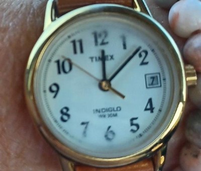 Women's Timex Easy Reader Watch With Leather Strap- Gold/brown T2j7619j ...
