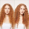 Eva Nyc Bounce Back Curl Reviving Mist - 5.4 Fl Oz : Target