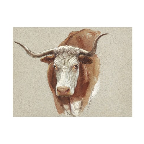 Samuel Colman Colman Cow Portrait Study Ii Canvas Art : Target
