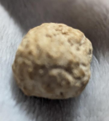 Natural Rapport The Only Freeze Dried Meatballs Dog Treats - 4oz : Target