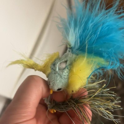 Hanging Teaser Bird With Bells Cat Toy - Blue - Boots & Barkley™ : Target