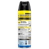 Raid Flying Insect Killer Outdoor Fresh Scent Aerosol - 18oz : Target