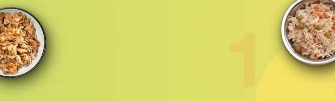 Cesar products at Target