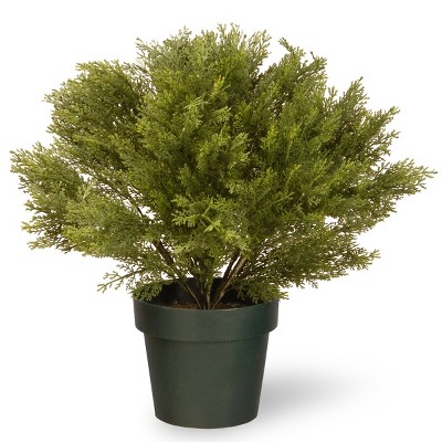 National Tree Company 48" Mini Tea Leaf Two-ball Artificial Tree: Faux ...